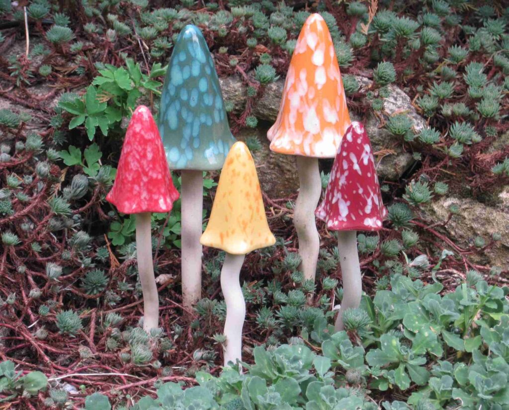 Timeless Toadstools - Summer Bright Set of 5 - Leisure Gardening