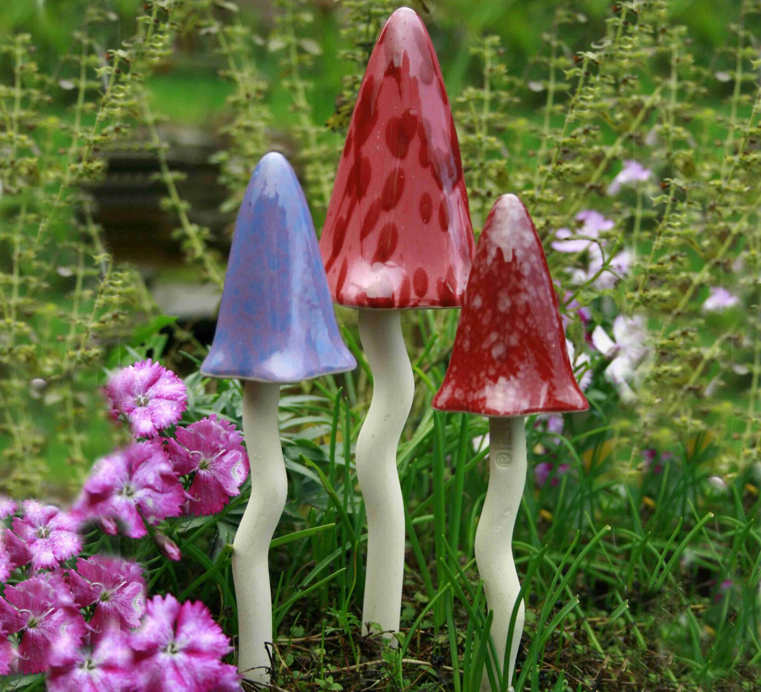 Tinkling Toadstools - Shades of Spring - Leisure Gardening