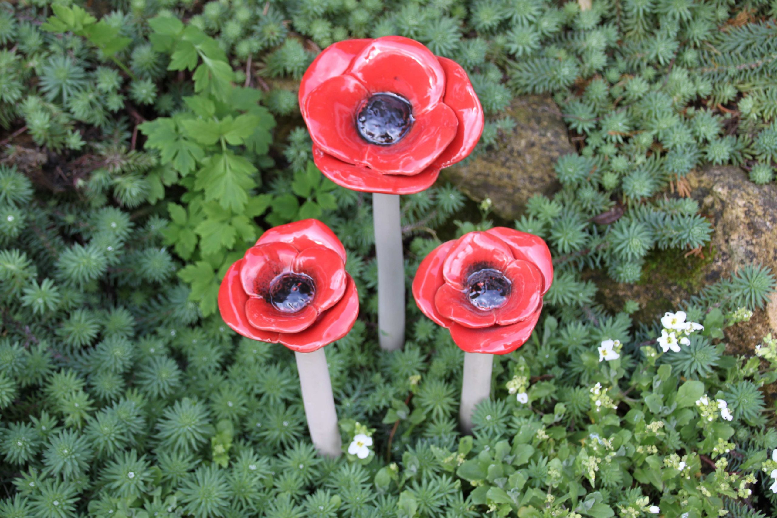 Ceramic Poppies - Leisure Gardening