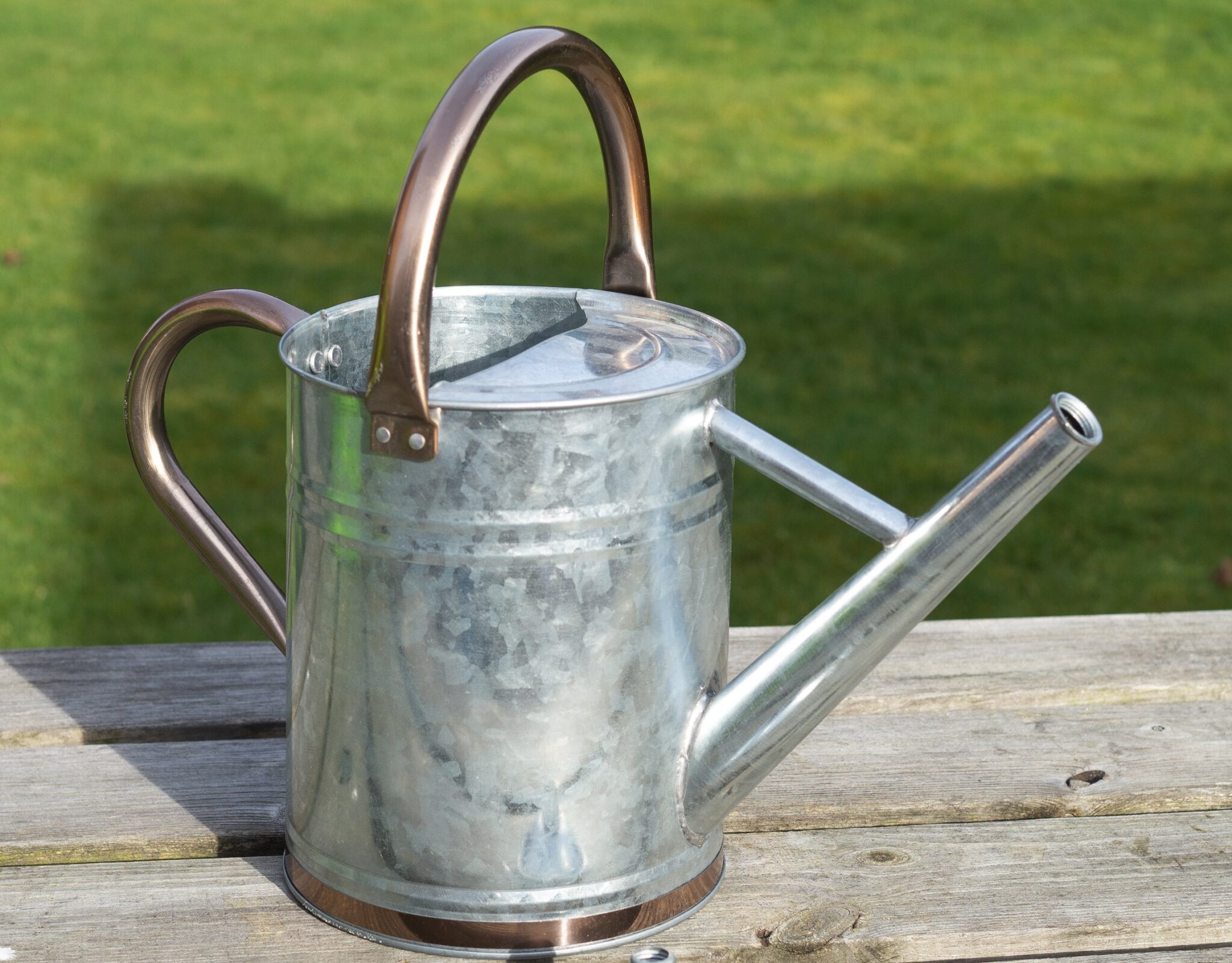 Metal Watering Can with Sprinkler Nozzle 4L Capacity - Leisure Gardening